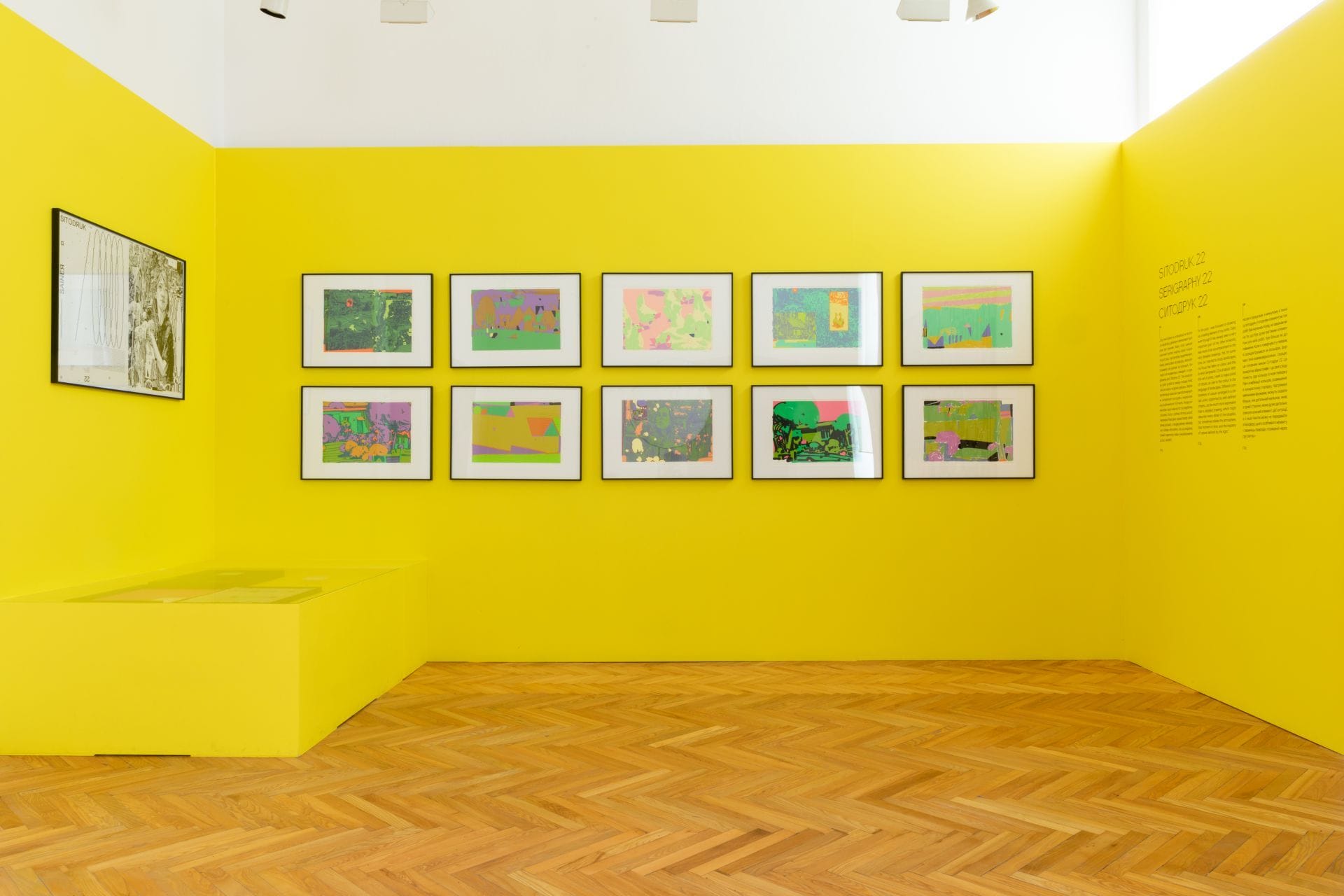 Dorota Terlecka wie, jak zaprojektować idealną wystawę