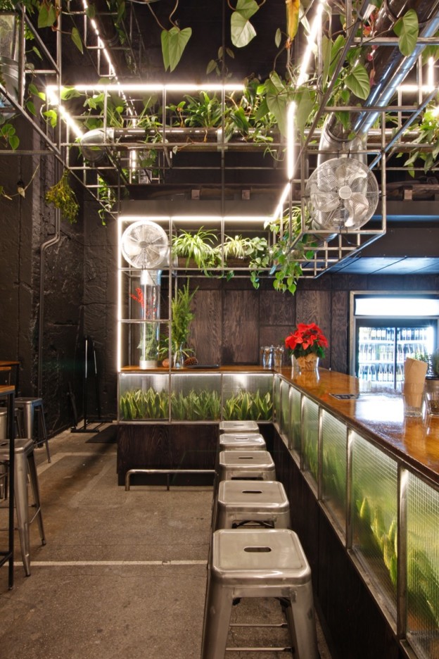 Foton – warszawski bar zatopiony w zwisającej z sufitu tropikalnej dżungli